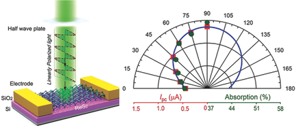 Highly Sensitive Detection of Polarized Light Using Anisotropic 2D ReS2 ...