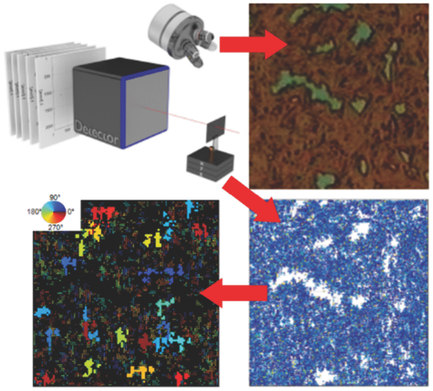 Mapping Morphological and Structural Properties of Lead Halide ...