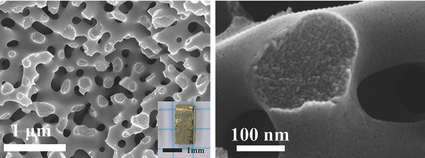 Porous Gold with a Nested‐Network Architecture and Ultrafine Structure ...