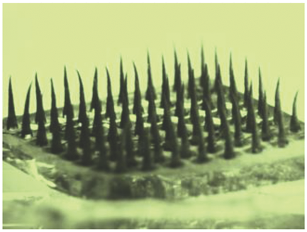 Magnetically Induced Fog Harvesting via Flexible Conical Arrays ...