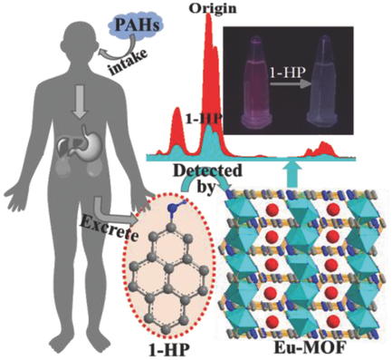 Determination of Urinary 1‐Hydroxypyrene for Biomonitoring of Human Exposure to Polycyclic ...