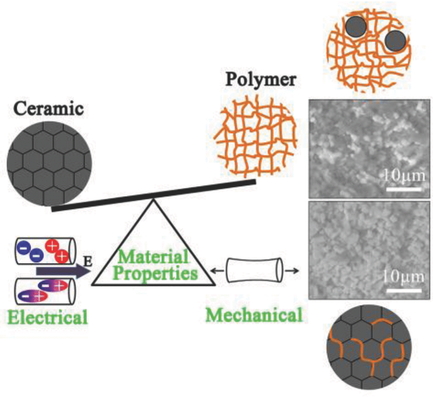 Cold Sintering Process of Composites: Bridging the Processing ...