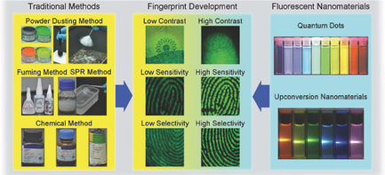 Fluorescent Nanomaterials for the Development of Latent Fingerprints in ...