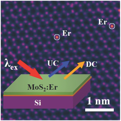 2D Layered Materials of Rare‐Earth Er‐Doped MoS2 with NIR‐to‐NIR Down‐ and Up‐Conversion ...