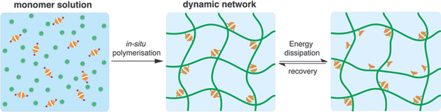 Tough Supramolecular Polymer Networks with Extreme Stretchability and ...