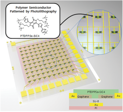 Chemically Robust Ambipolar Organic Transistor Array Directly Patterned ...