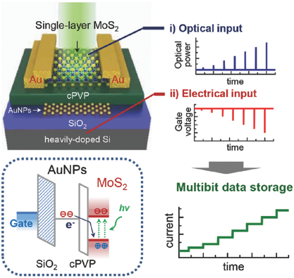 具有超高灵敏度的多位MoS2光电存储器,Advanced Materials - X-MOL