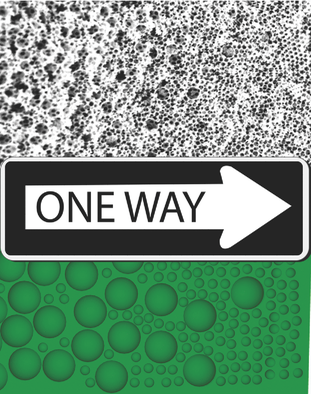 Functional Gradient Inverse Opal Carbon Monoliths with Directional and ...