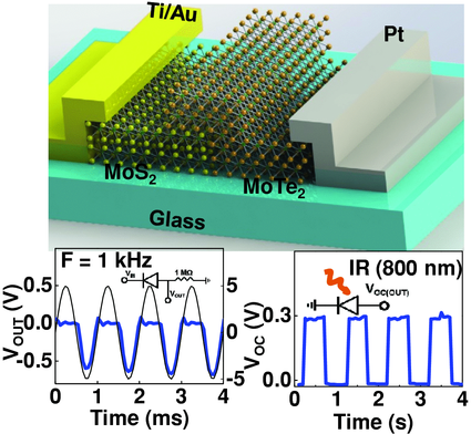 Electric and Photovoltaic Behavior of a Few‐Layer α‐MoTe2/MoS2 ...