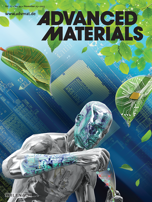 Flexible Electronics: Fast Fabrication of Flexible Functional Circuits ...