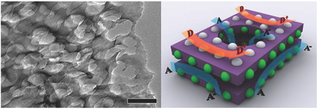 可见光光催化层状氮化碳氢键的选择性断裂,Advanced Materials - X-MOL