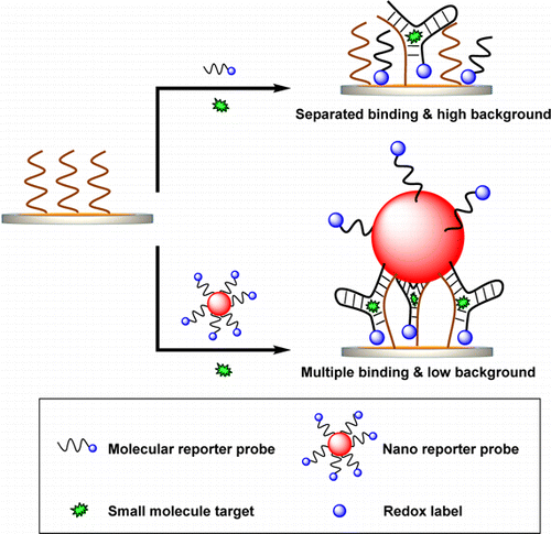 Nanoprobe-Enhanced, Split Aptamer-Based Electrochemical Sandwich Assay for Ultrasensitive ...
