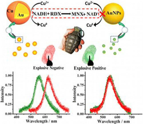 Nanoplasmonic Imaging of Latent Fingerprints with Explosive RDX ...