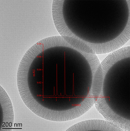 Silica Microspheres with Fibrous Shells: Synthesis and Application in ...