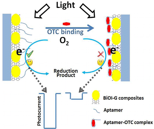 A Cathodic “Signal-off” Photoelectrochemical Aptasensor for Ultrasensitive and Selective ...