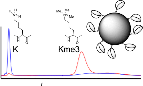 超分子亲和色谱法用于甲基化靶向的蛋白质组学,Analytical Chemistry - X-MOL
