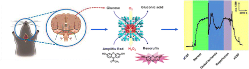Integrated Nanozymes with Nanoscale Proximity for in Vivo Neurochemical ...