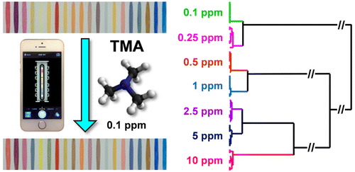 Rapid Quantification of Trimethylamine,Analytical Chemistry - X-MOL