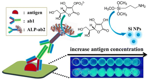 Fluorescence Immunoassay System via Enzyme-Enabled in Situ Synthesis of Fluorescent Silicon ...