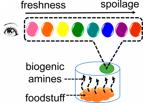 Visual Monitoring of Food Spoilage Based on Hydrolysis-Induced Silver ...