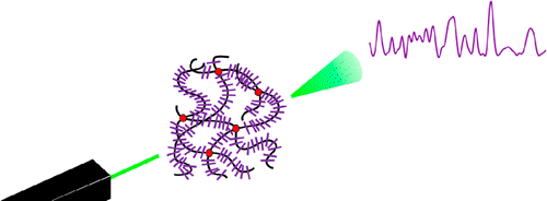 Secondary Structure and Glycosylation of Mucus Glycoproteins by Raman ...