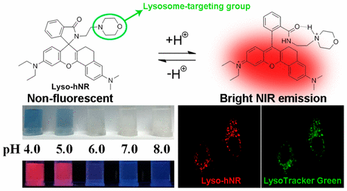 Near-Infrared Probe Based on Rhodamine Derivative for Highly Sensitive and Selective Lysosomal ...