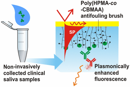 Plasmonic Hepatitis B Biosensor for the Analysis of Clinical Saliva ...
