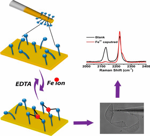 Organic Cyanide Decorated SERS Active Nanopipettes for Quantitative ...