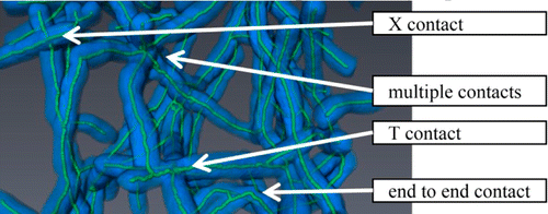 The Microstructure of Cellulose Nanocrystal Aerogels as Revealed by ...