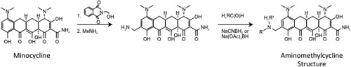 新型氨甲基环素抗生素奥马达环素的发现，药理学和临床概况,Bioorganic & Medicinal Chemistry - X-MOL