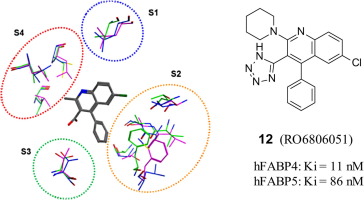 Design and synthesis of selective, dual fatty acid binding protein 4 ...