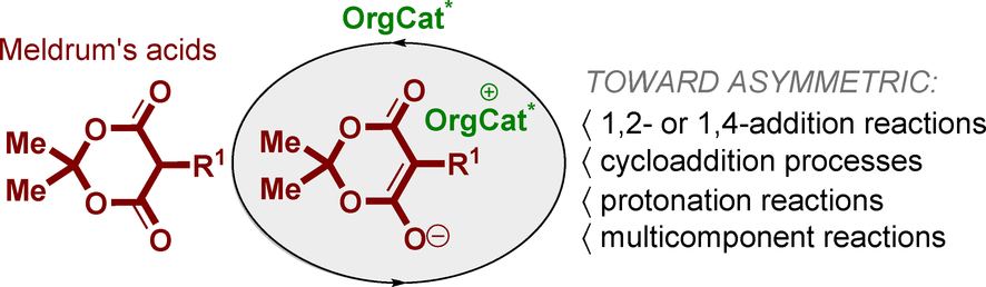 Meldrum's Acid: A Useful Platform in Asymmetric Organocatalysis ...