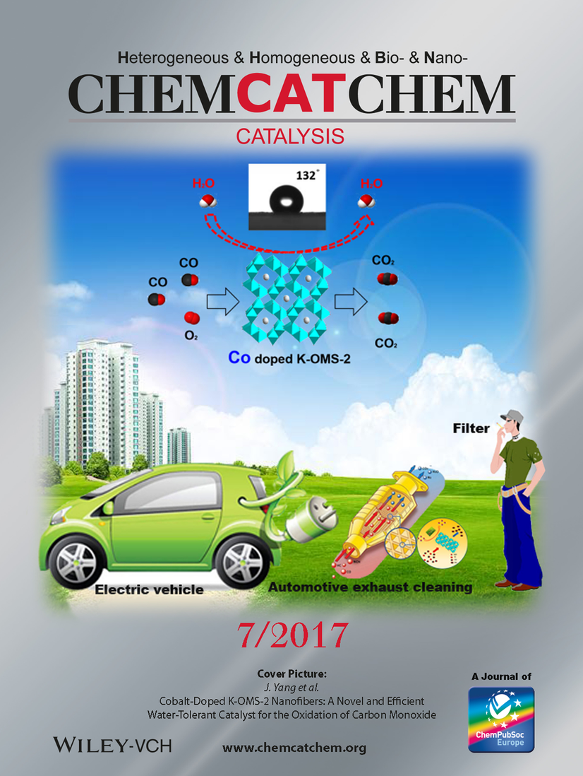 Cover Picture: Back Cover: Cobalt-Doped K-OMS-2 Nanofibers: A Novel and Efficient Water-Tolerant ...