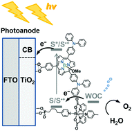 Visible light-driven water oxidation with a subporphyrin sensitizer and ...