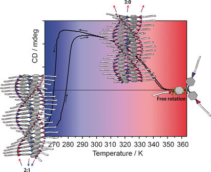 Unravelling the Pathway Complexity in Conformationally Flexible N ...