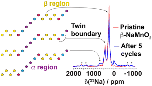 Insights into the Nature and Evolution upon Electrochemical Cycling of ...