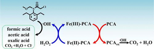 Fe（III）/ H2O2 Fenton体系中原儿茶酸促进的甲草胺降解,Environmental Science & Technology - X-MOL
