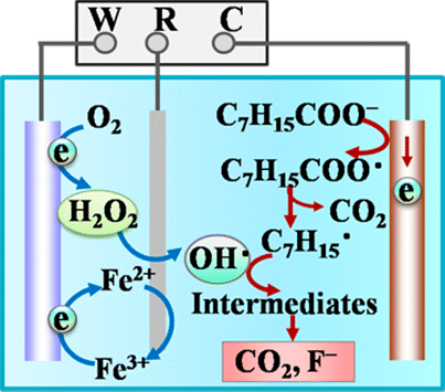 Efficient Mineralization of Perfluorooctanoate by Electro-Fenton with H2O2 Electro-generated on ...