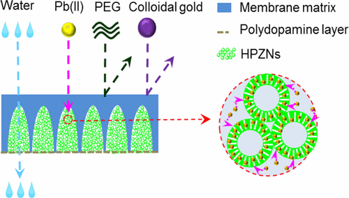 Dual-Functional Ultrafiltration Membrane for Simultaneous Removal of ...