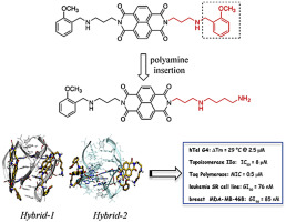 Naphthalene diimide-polyamine hybrids as antiproliferative agents: Focus on the architecture of ...