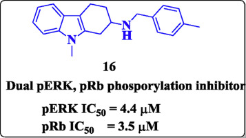 发现四氢咔唑作为pERK和pRb的双重抑制剂,European Journal of Medicinal Chemistry - X-MOL