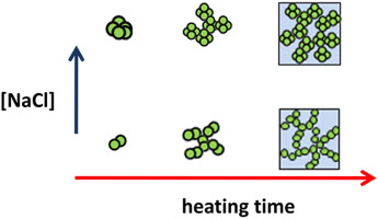 The effect of adding NaCl on thermal aggregation and gelation of soy ...