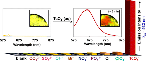 Highly Selective Colorimetric and Luminescence Response of a Square ...