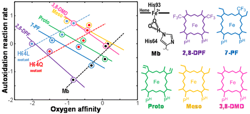 Effects of Heme Electronic Structure and Distal Polar Interaction on ...