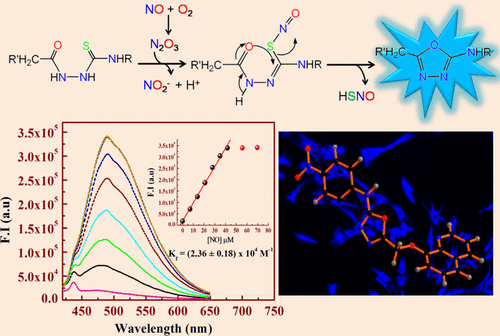 一氧化氮选择性传感的智能分子：NO转化为HSNO；生物HSNO形成的相关性,Inorganic Chemistry - X-MOL