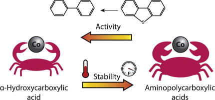 有机添加剂和磷酸对（Co）Mo / Al2O3加氢脱硫催化剂硫化及活性的影响,Journal of Catalysis - X-MOL