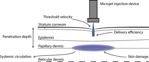 Penetration and delivery characteristics of repetitive microjet ...