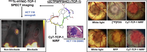 用于结肠癌分子成像的TCP-1探针的表征,Journal of Controlled Release - X-MOL