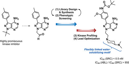 Rapid Discovery and Structure-Activity Relationships of ...
