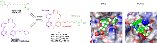 Design and Synthesis of Janus Kinase 2 (JAK2) and Histone Deacetlyase ...